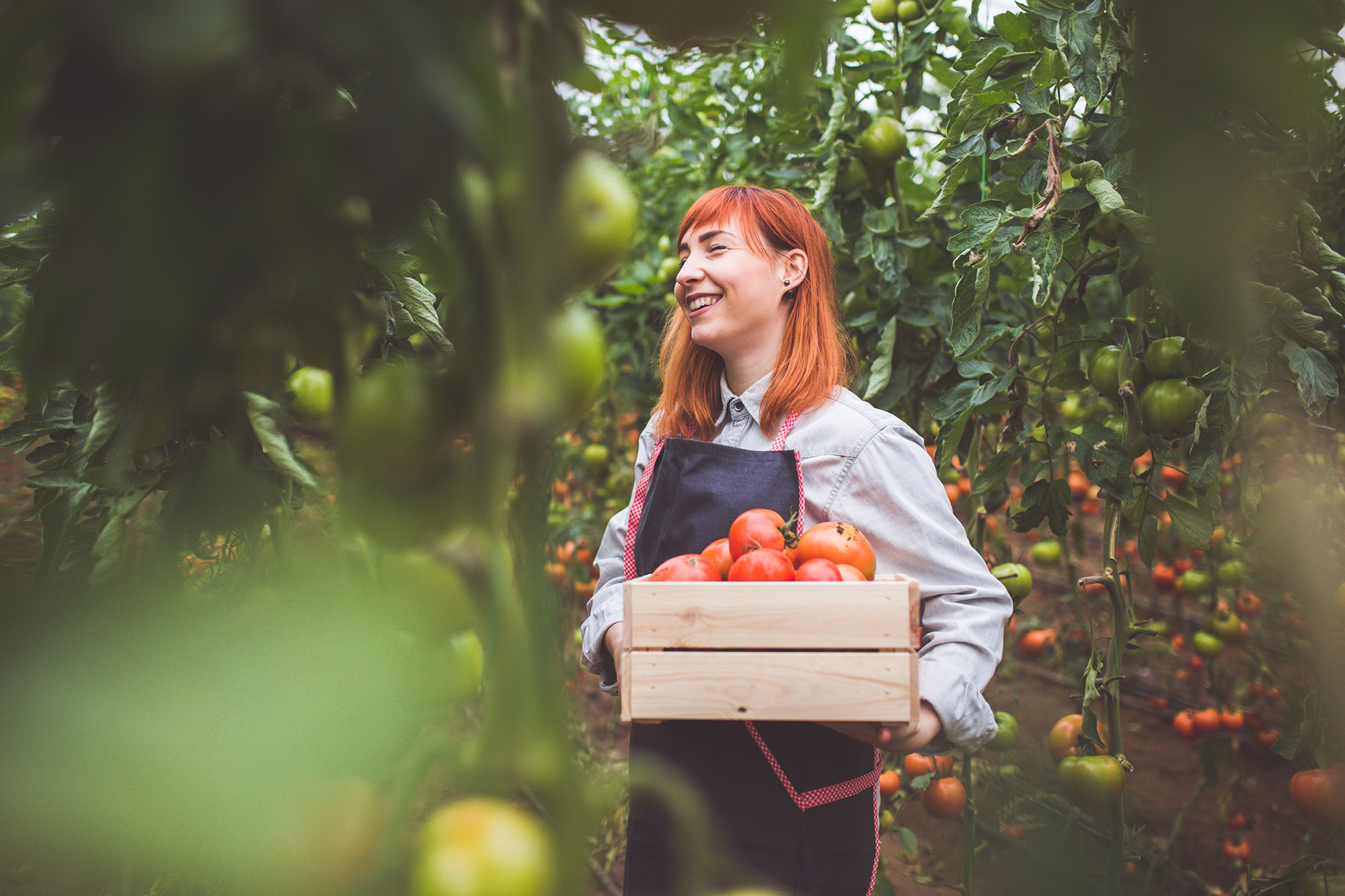 Pensions | Rossborough Financial